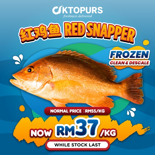 Fish Shop | Ships Next Day | KL |Klang Valley | Malaysia Oktopurs Online