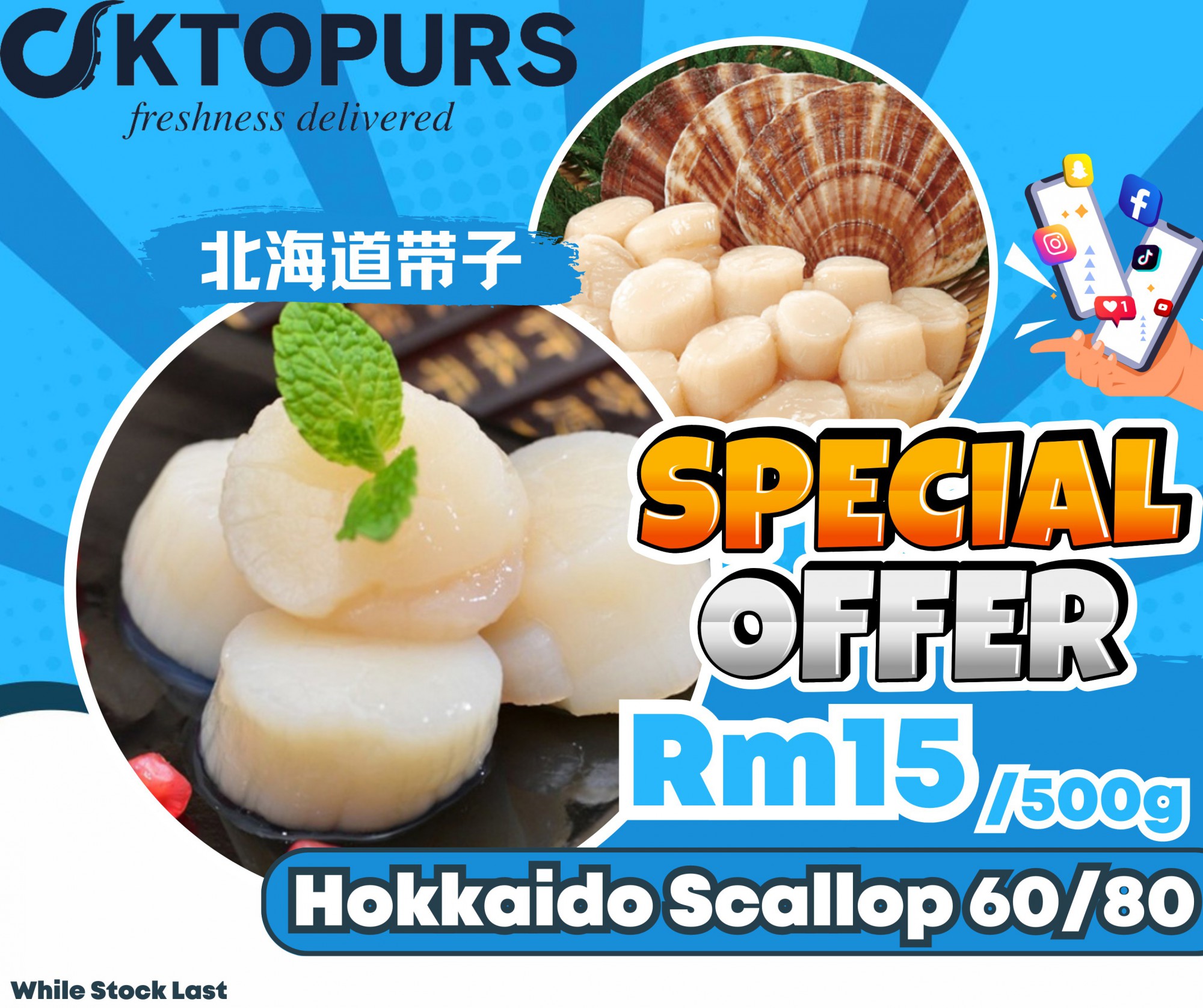 Oktopurs Online – Hokkaido Scallop 60/80 北海道带子