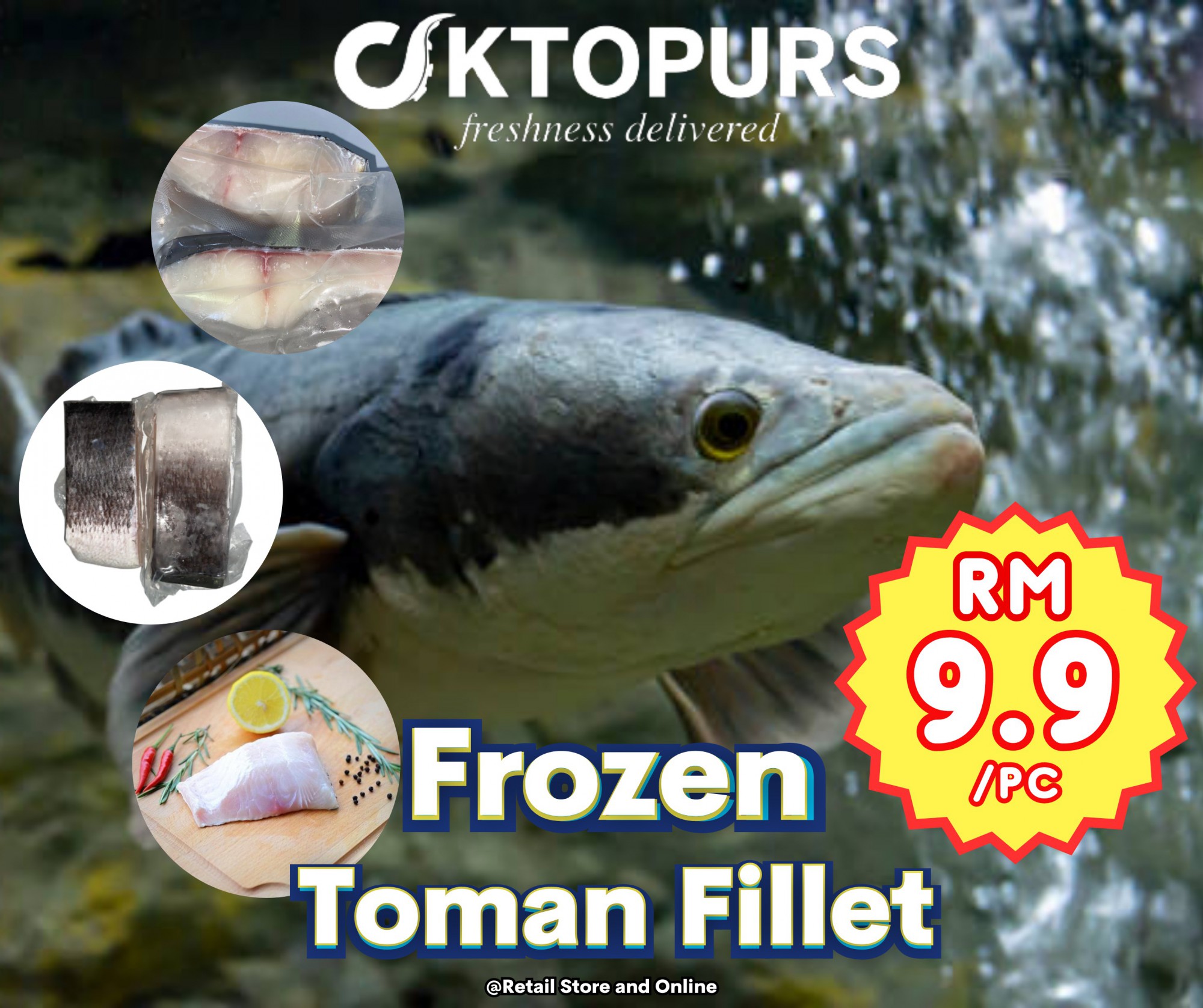 Oktopurs Online – [Promo] Frozen Toman Fillet